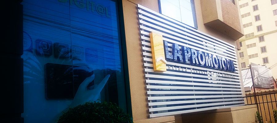 La Promotora EFV